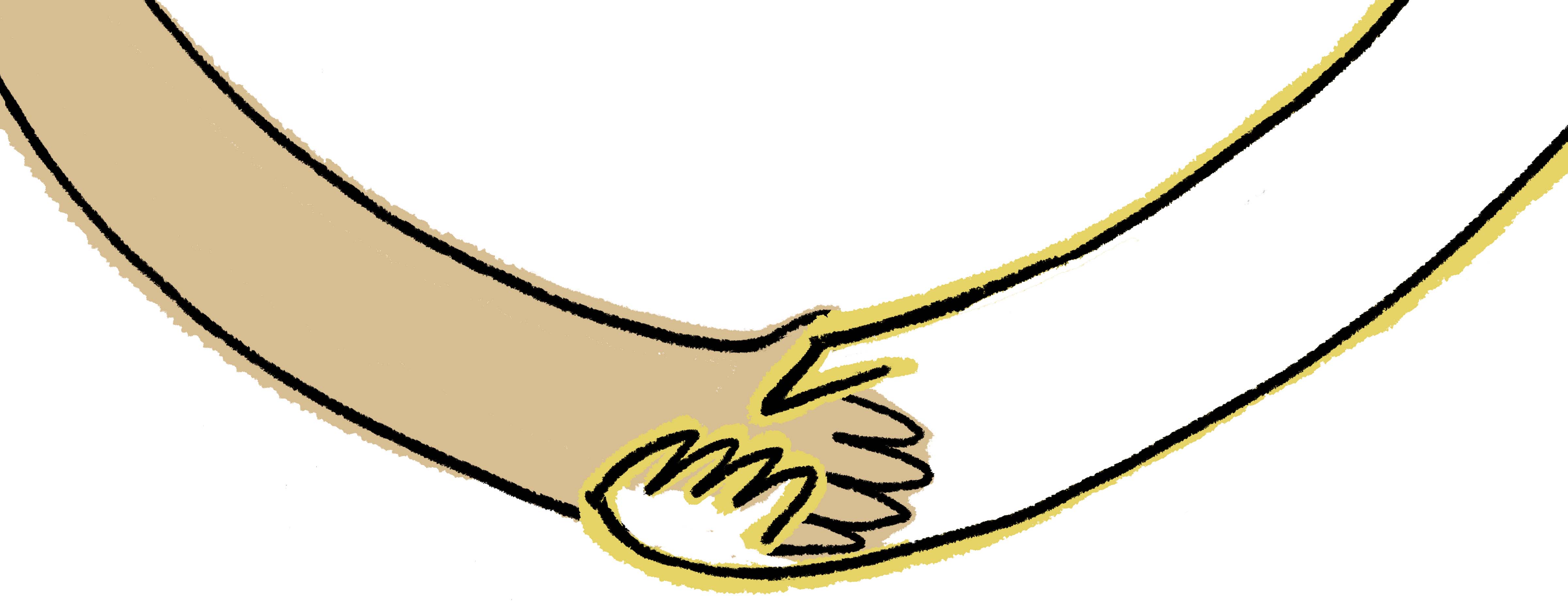Covenants The Backbone Of The Bible BibleProject 